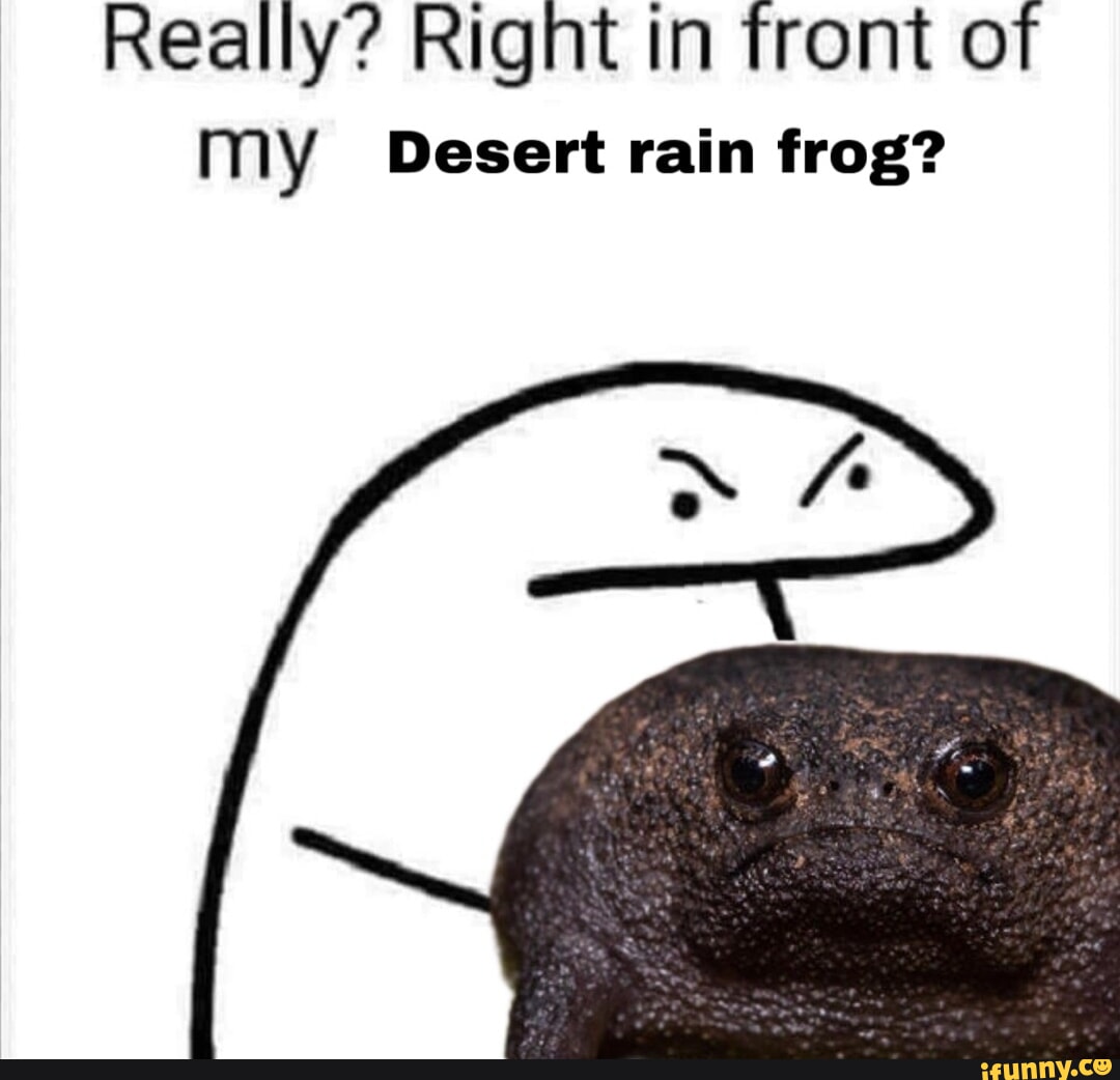 Desert memes. Best Collection of funny Desert pictures on iFunny