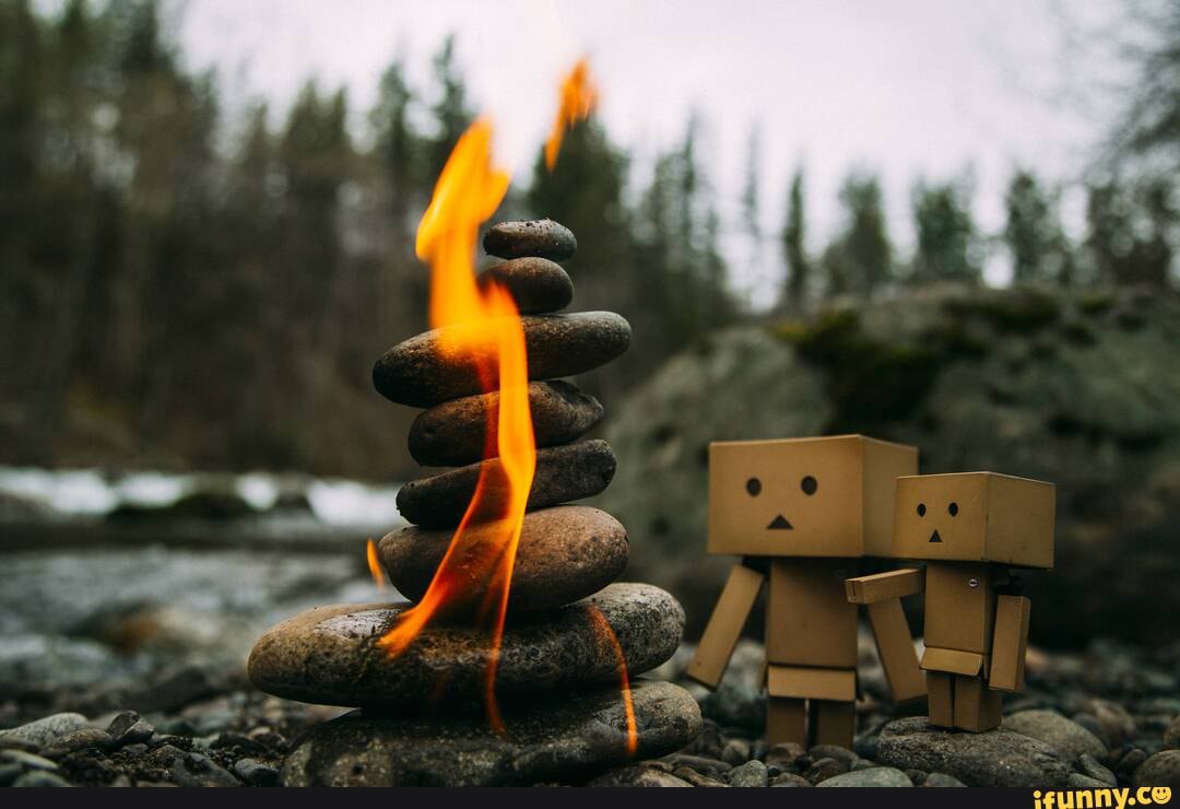 Danbo - iFunny