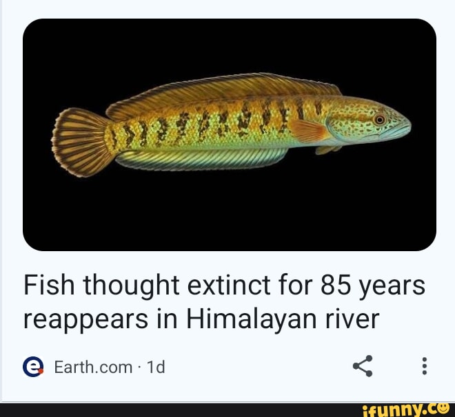 Fish thought extinct for 85 years reappears in Himalayan river Earth ...