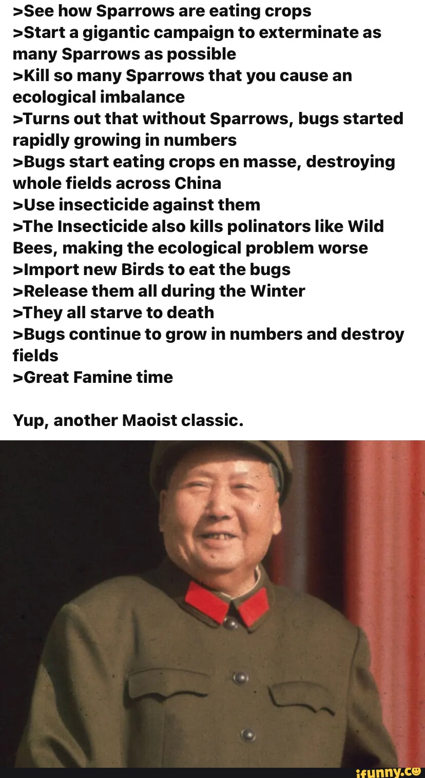 >See how Sparrows are eating crops >Start a gigantic campaign to ...