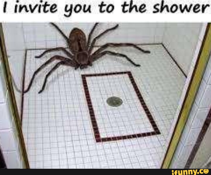 Arachnophobia memes. Best Collection of funny Arachnophobia pictures on ...