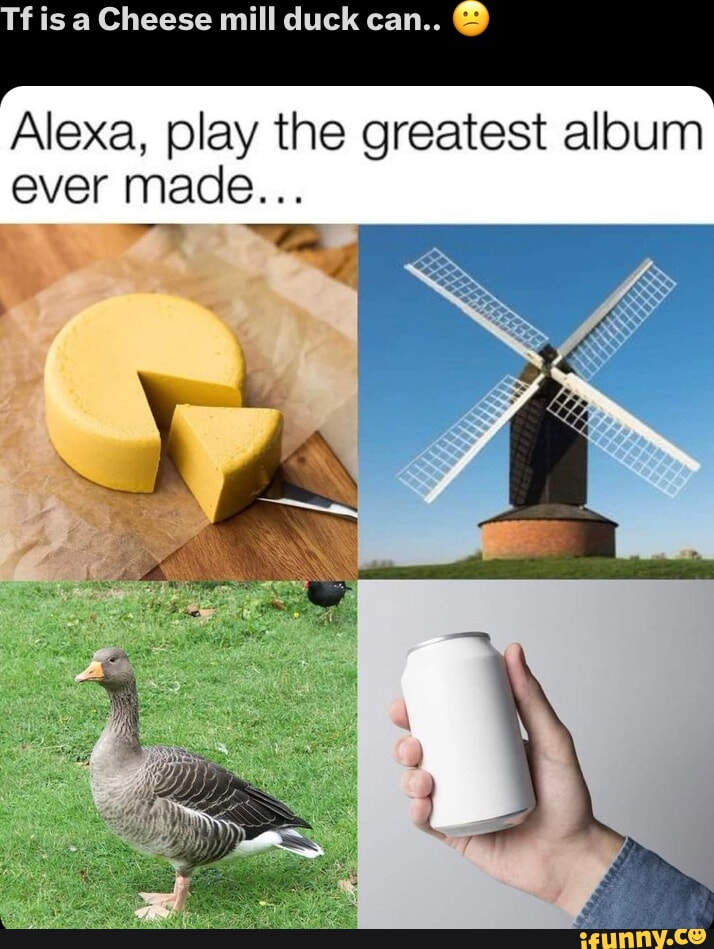 Tf is a Cheese mill duck can.. @ Alexa, play the greatest album ever ...