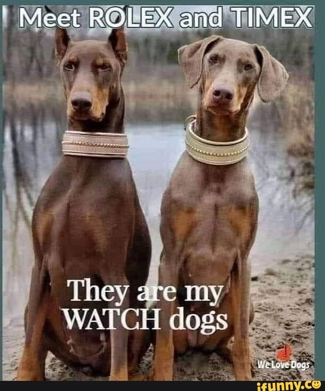 Timex memes. Best Collection of funny Timex pictures on iFunny