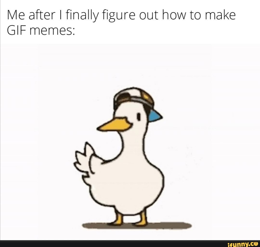Me after I finally figure out how to make GIF memes: - iFunny