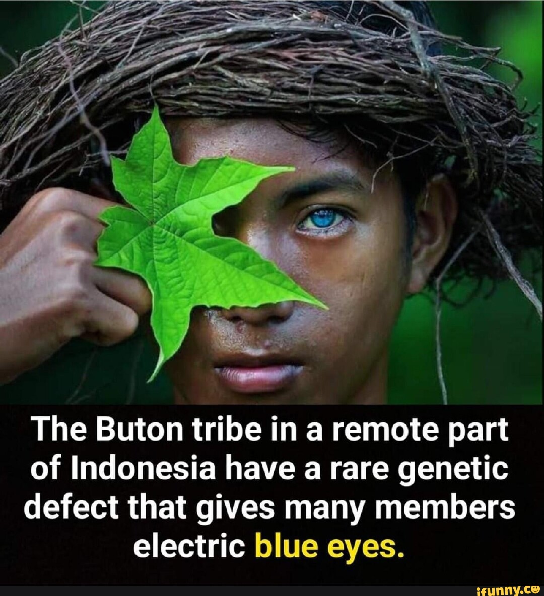 The Buton tribe in a remote part of Indonesia have a rare genetic ...