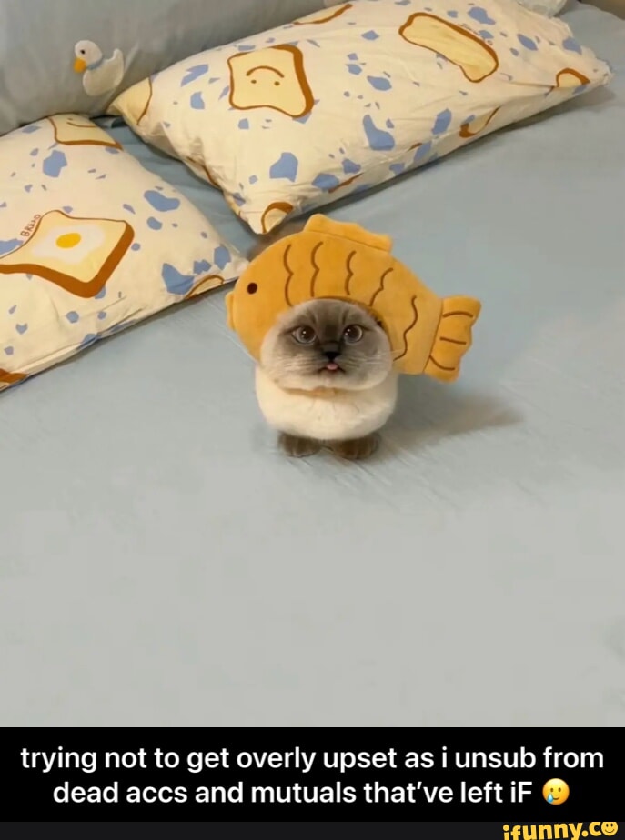 Trying not to get overly upset as unsub from dead accs and mutuals that ...