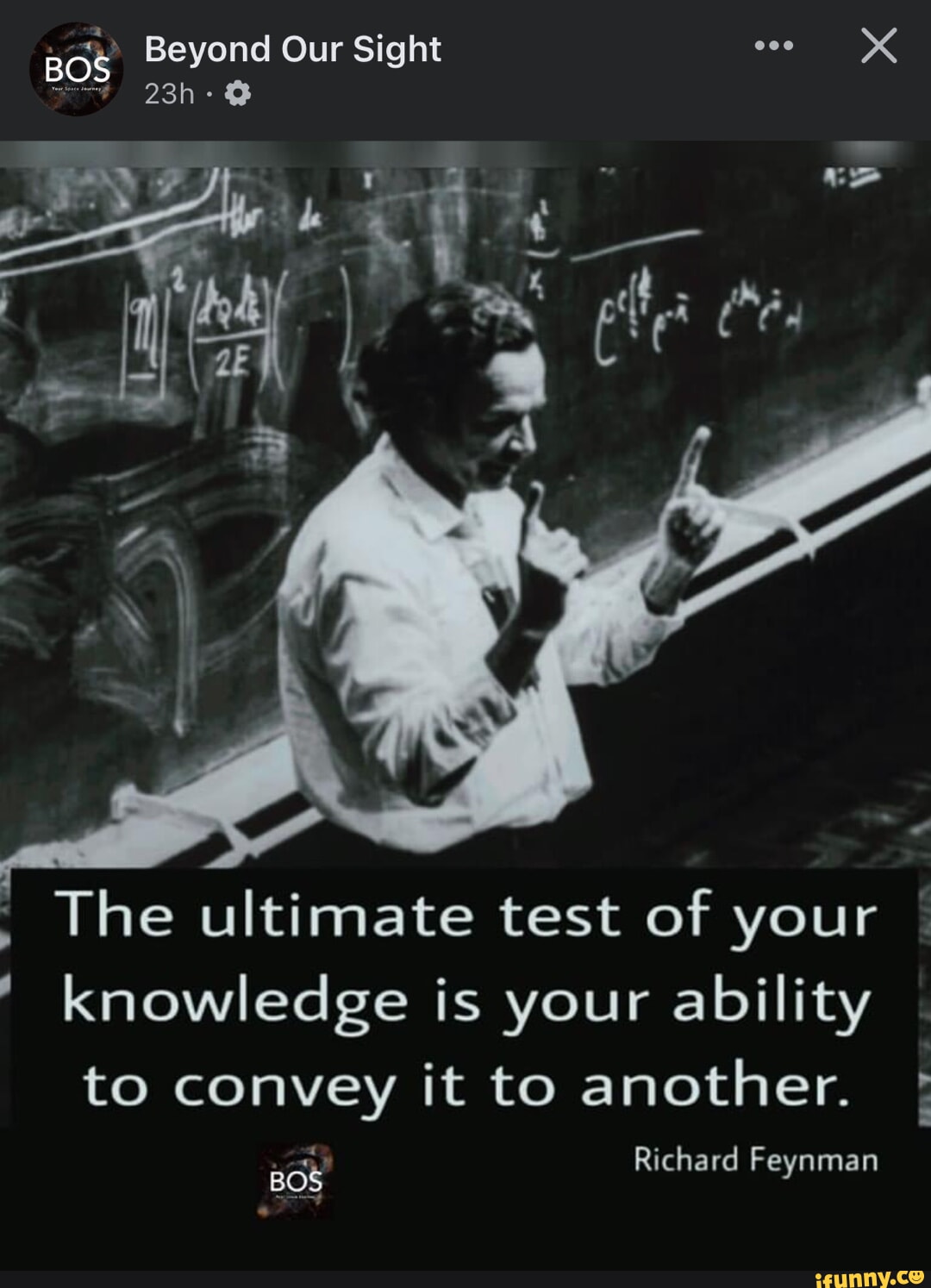 Feynman Memes