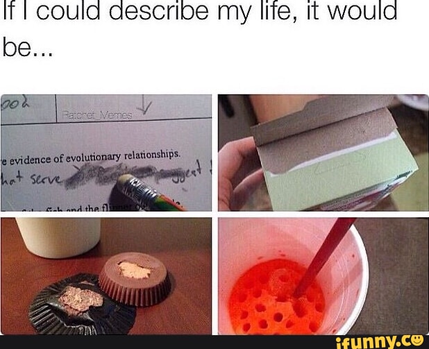 Paleontology- Can you identify this iconic all- American Late Jurassic ...