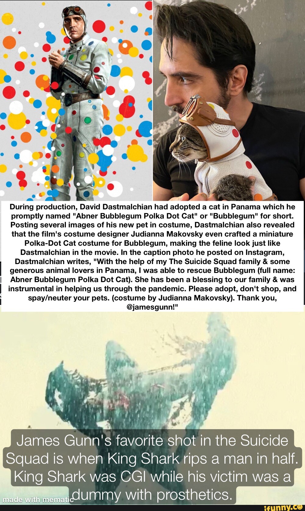 During production, David Dastmalchian had adopted a cat in Panama which ...