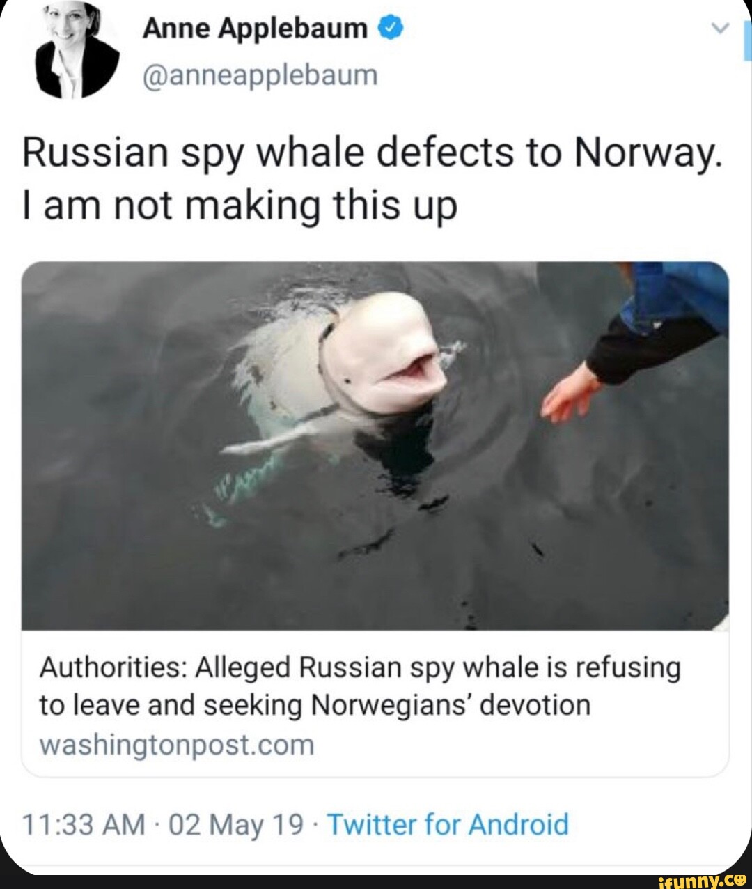 Defects memes. Best Collection of funny Defects pictures on iFunny