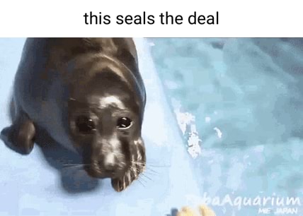 Seal The Deal Meme