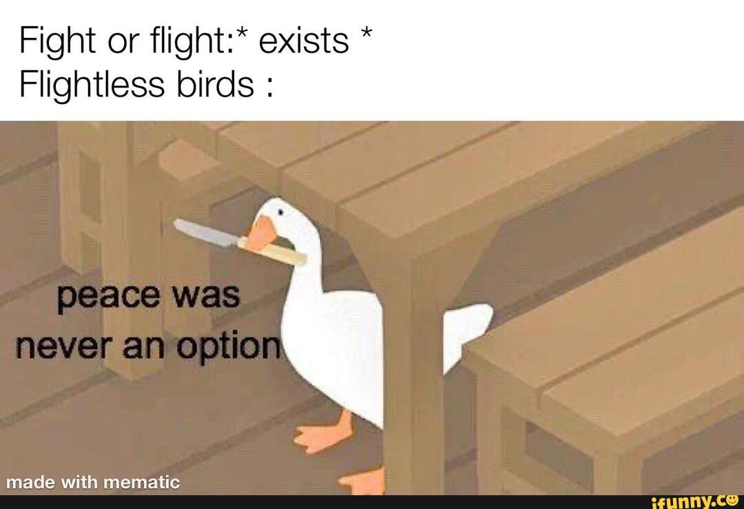Fight or flight:* exists * Flightless birds : psace was never - iFunny