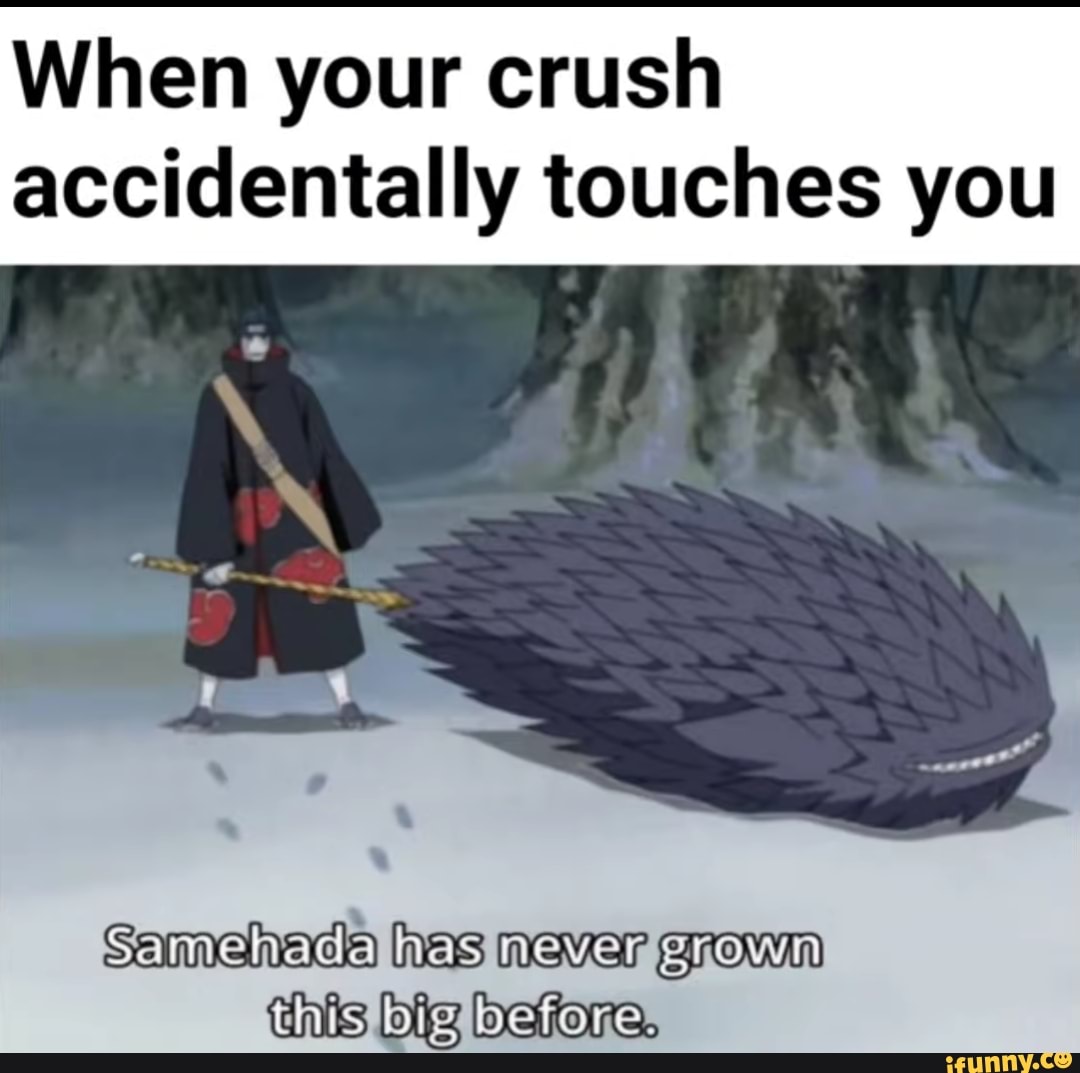 Samehada memes. Best Collection of funny Samehada pictures on iFunny