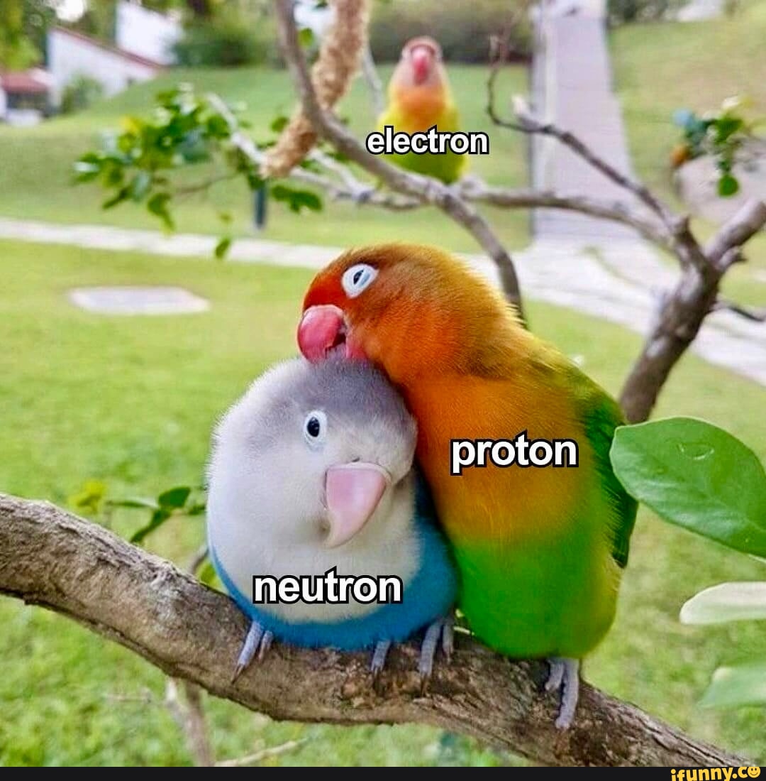Electron memes. Best Collection of funny Electron pictures on iFunny