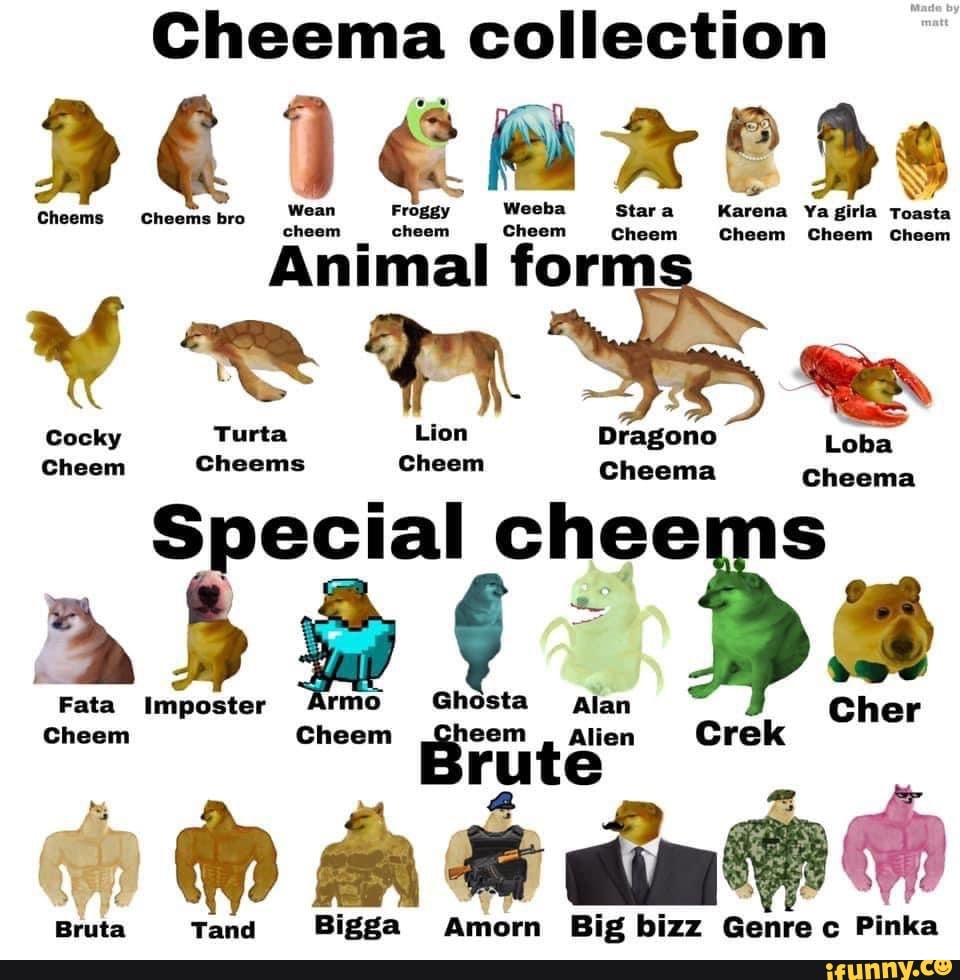 Animal form Cocky Turta Lion Dragono Cheem Cheems Cheem Cheema Special ...