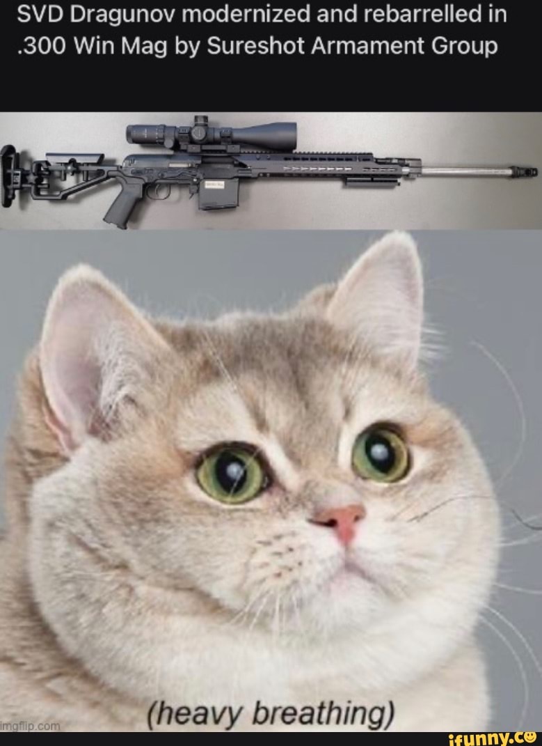 SVD Dragunov modernized and rebarrelled in .300 Win Mag by Sureshot ...