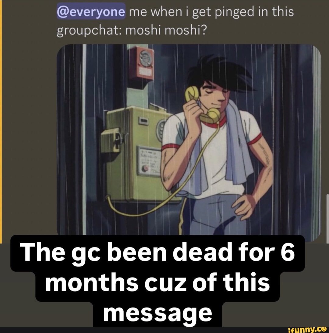@everyone me when i get pinged in this groupchat: moshi moshi? The gc been dead for months cuz ...