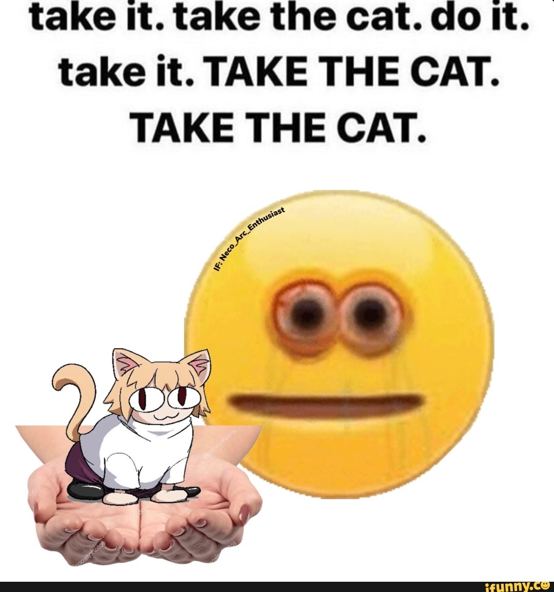 Take it. take the cat. do It. I take it. TAKE THE CAT. TAKE THE CAT ...