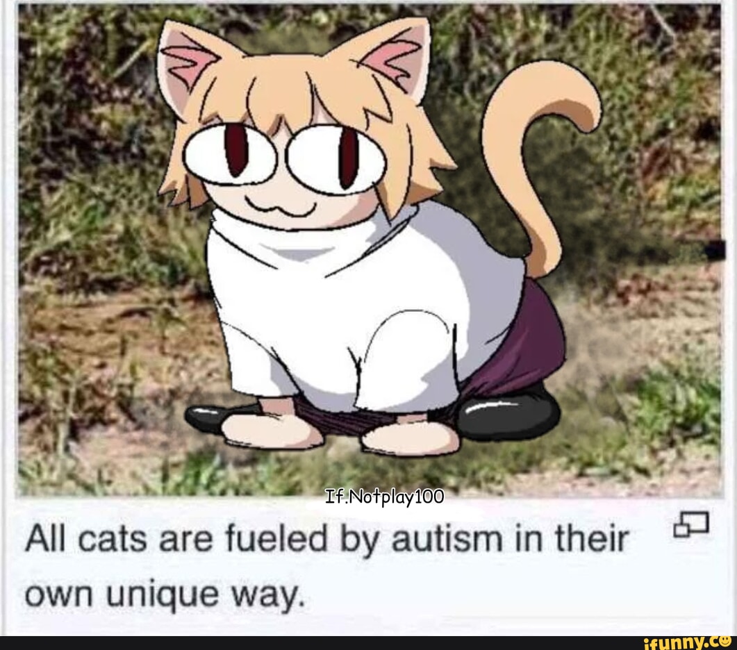 All cats are fueled by autism in their own unique way. - iFunny