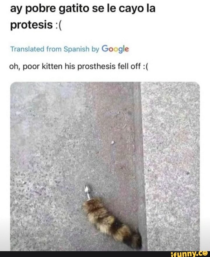 Protesis memes. Best Collection of funny Protesis pictures on iFunny