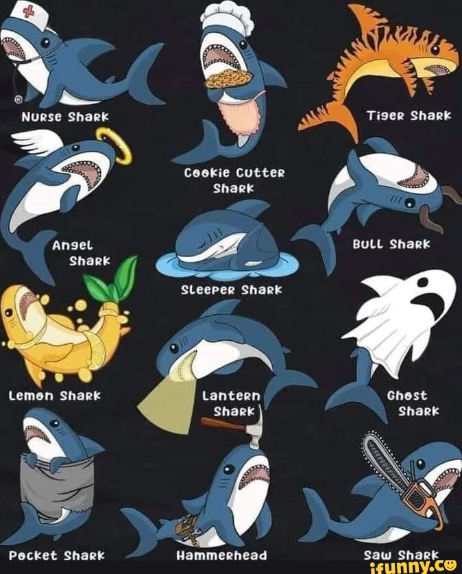 Hammerhead memes. Best Collection of funny Hammerhead pictures on iFunny