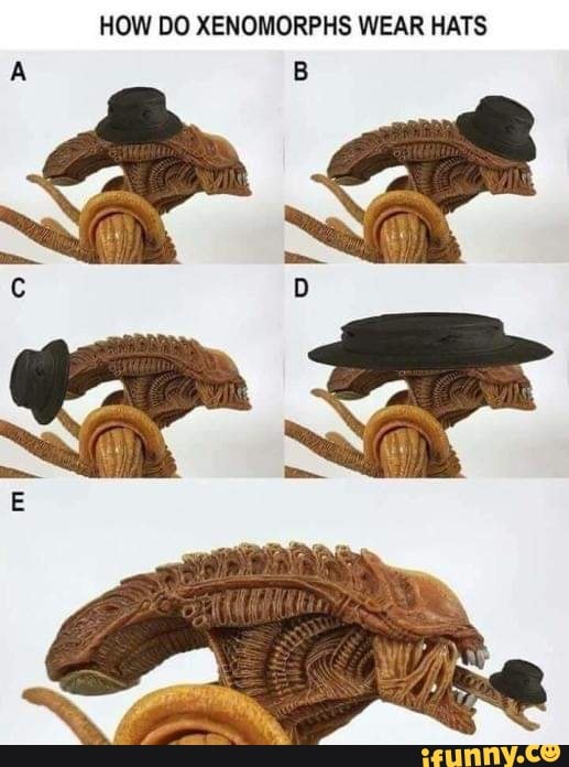 Xenomorphs memes. Best Collection of funny Xenomorphs pictures on iFunny