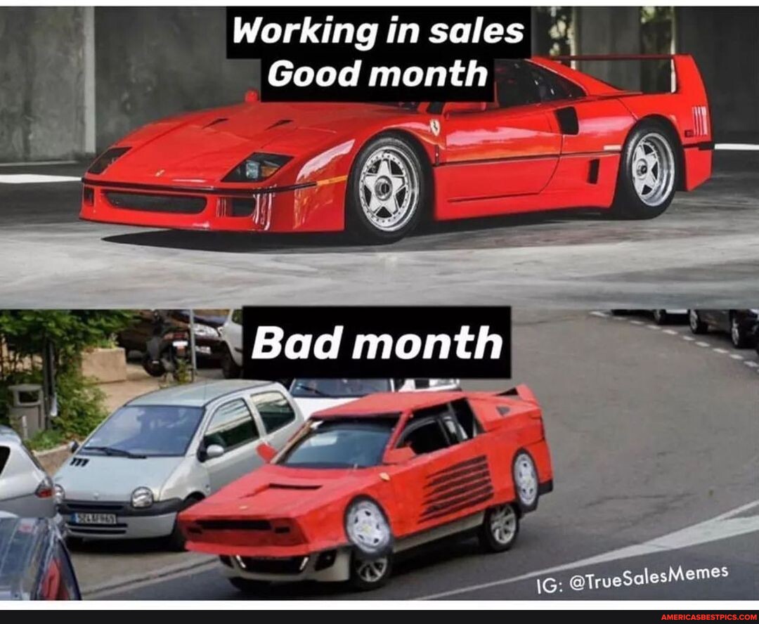 Roller coaster 🎢 - Working in sales Good month Bad month - America’s ...