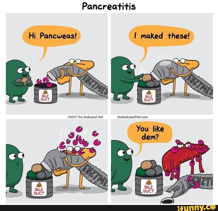 Pancreatitis memes. Best Collection of funny Pancreatitis pictures on ...