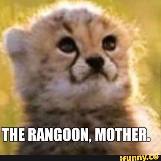 THE RANGOON, MOTHER. - iFunny