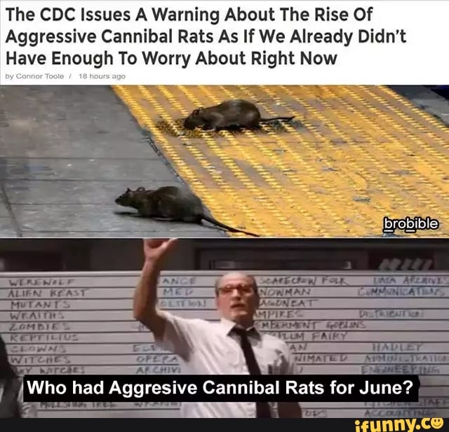The CDC Issues A Warning About The Rise Of Aggressive Cannibal Rats As ...