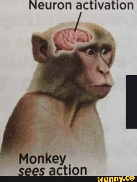 Neuron activation Monkey sees action - iFunny