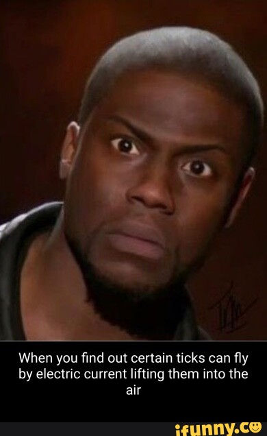 Ticks memes. Best Collection of funny Ticks pictures on iFunny