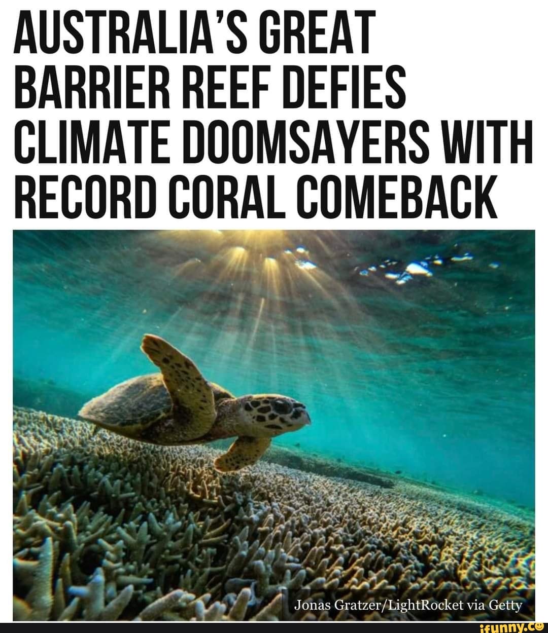 AUSTRALIA'S GREAT BARRIER REEF DEFIES CLIMATE DOOMSAYERS WITH RECORD ...