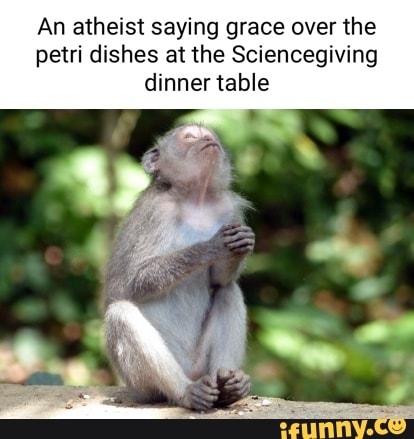 An atheist saying grace over the petri dishes at the Sciencegiving ...