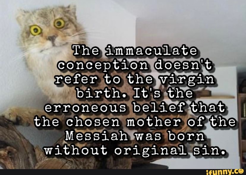 The immaculate conception doesnt refer the virgin birth. It's the ...