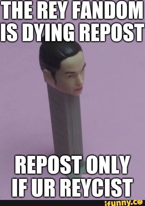 Reylo memes. Best Collection of funny Reylo pictures on iFunny