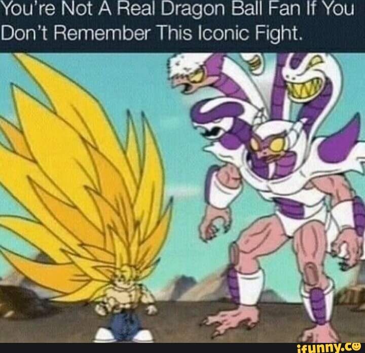 You're Not A Real Dragon Ball ran You Don't Remember This Iconic Fight ...