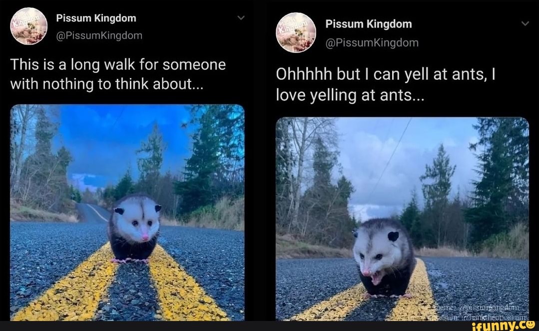 Pissum Kingdom Pissum Kingdom @rissuinngden @PissumKingdom This is a ...