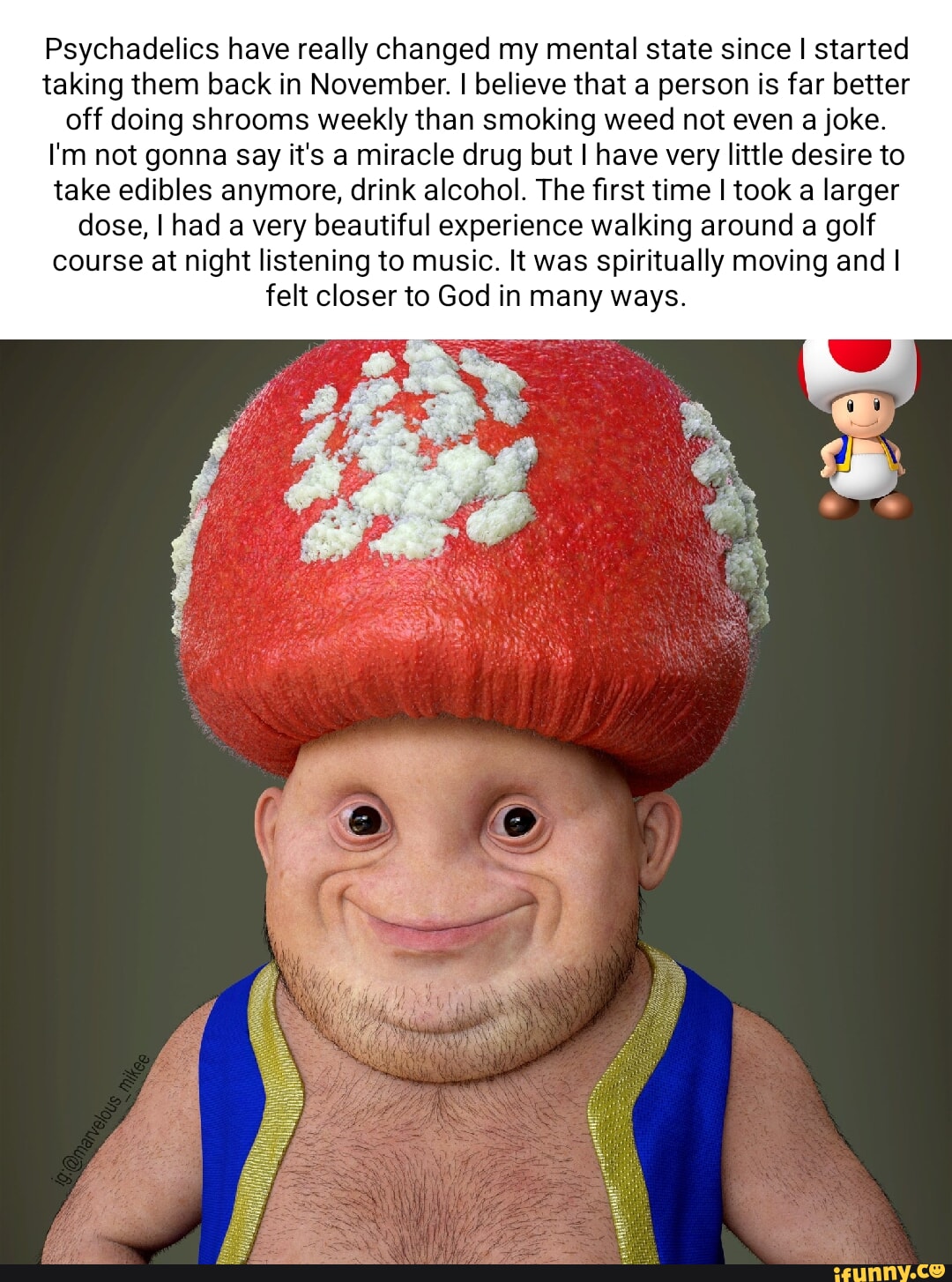 Shrooms memes. Best Collection of funny Shrooms pictures on iFunny