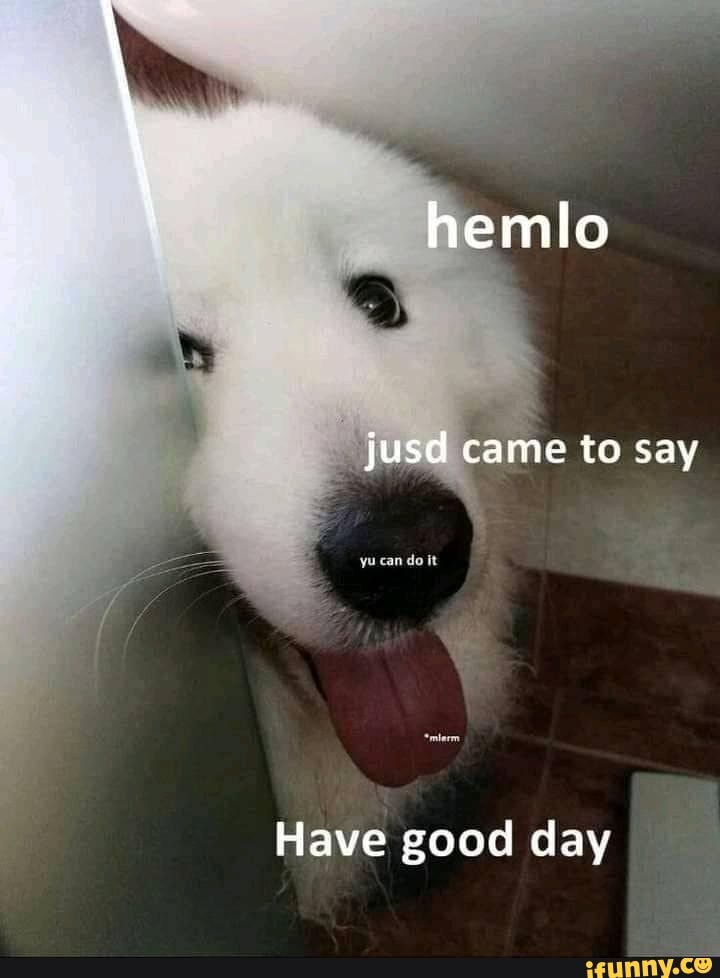 Hemlo memes. Best Collection of funny Hemlo pictures on iFunny