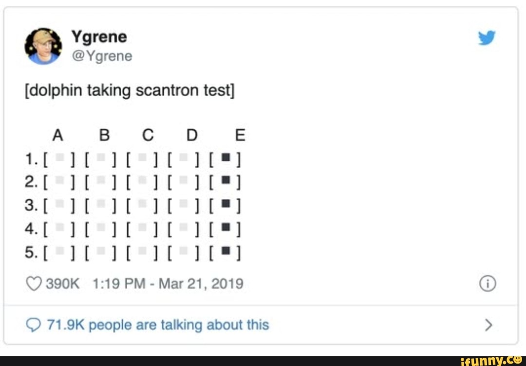 [dolphin taking scantron test] O 71.9K people are talking about this ...