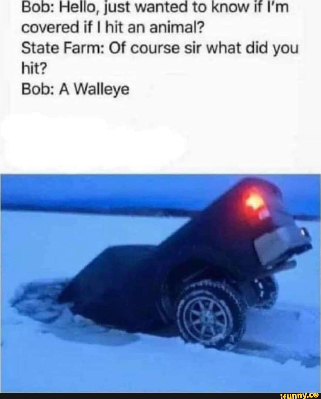 Walleye memes. Best Collection of funny Walleye pictures on iFunny