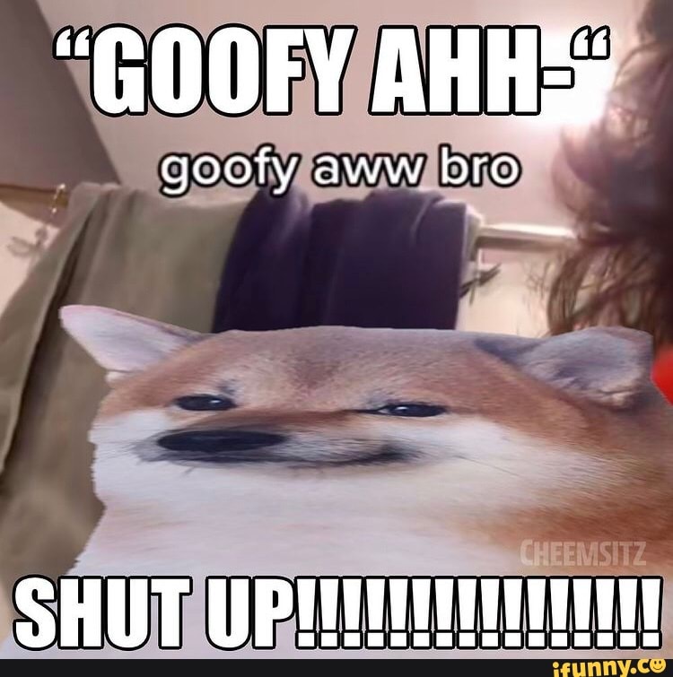 "GOOFY AHH goofy aww bro - )