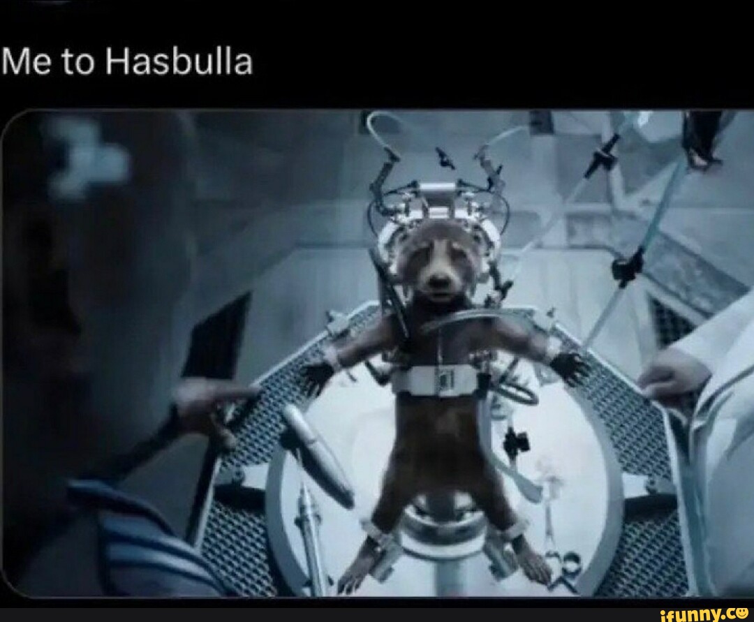 Me to Hasbulla - iFunny