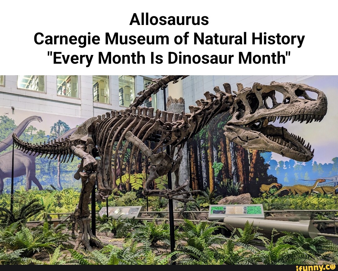 Allosaurus memes. Best Collection of funny Allosaurus pictures on iFunny
