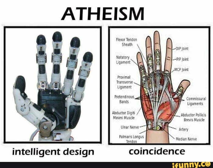 ATHEISM Flexor Tendon Sheath Natatory Ligament Proximal Transverse ...