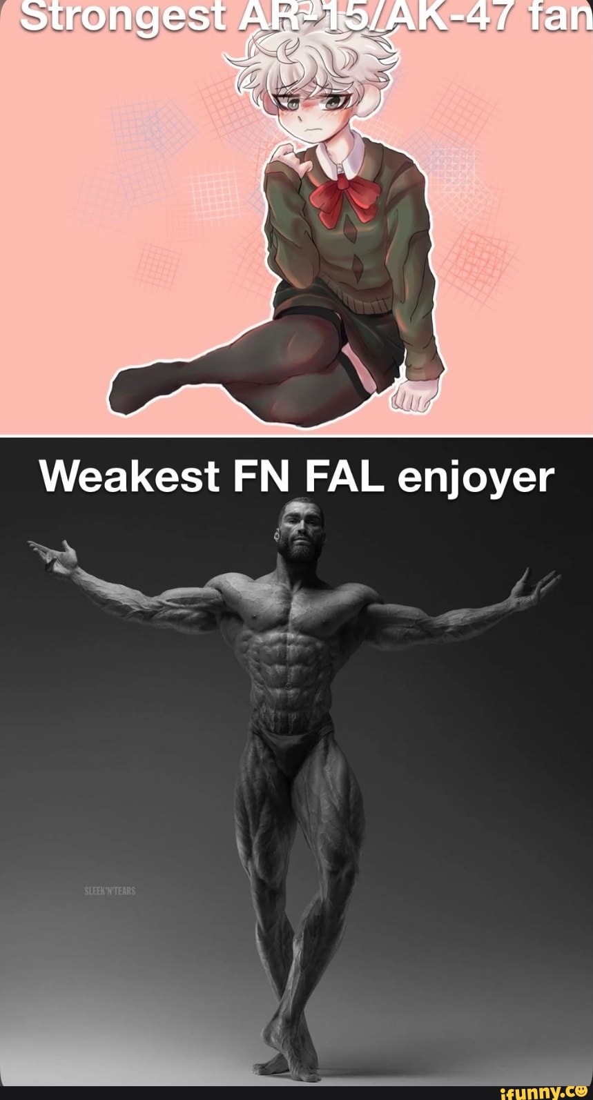 Co te Weakest FN FAL enjoyer - iFunny