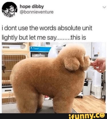 Dibby memes. Best Collection of funny Dibby pictures on iFunny