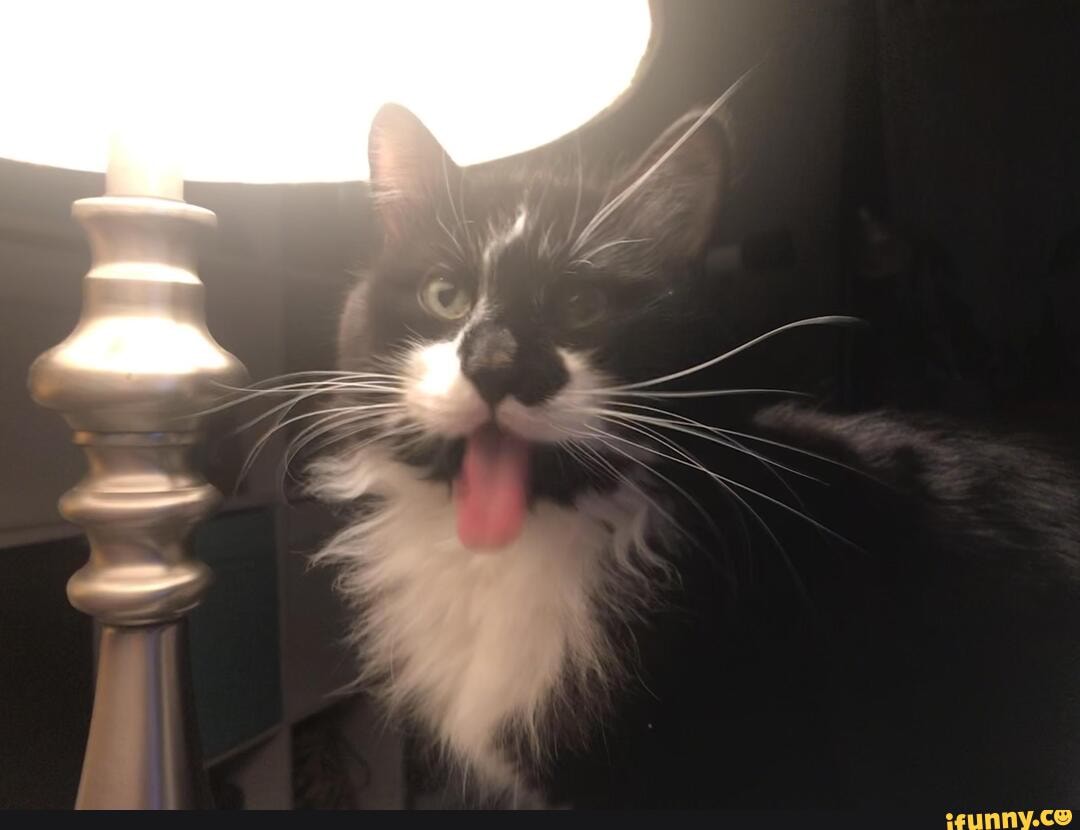 Whassup memes. Best Collection of funny Whassup pictures on iFunny