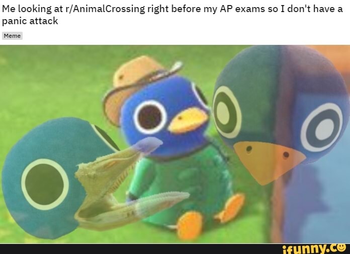 Me looking at r/AnimalCrossing right before my AP exams so I don't have ...